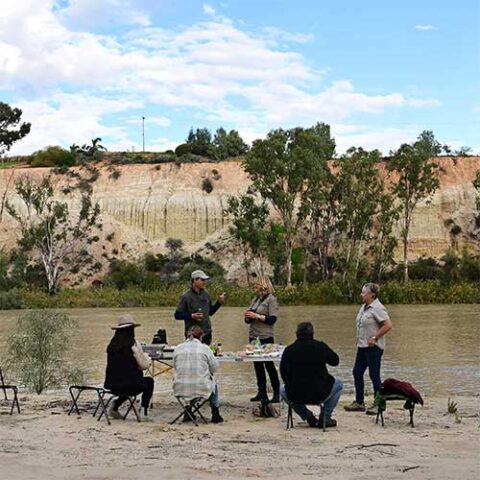 Australian Birdwatching Tours - Bellbird Tours
